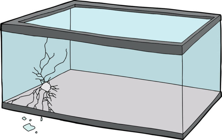 7 Reasons Why Fish Tank Cracks (+How To Fix It!) - eFishkeeping
