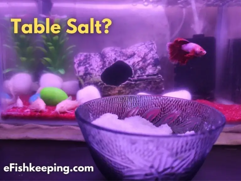 Which Salt To Use In Aquariums? (A Fishkeeper’s Guide!) - eFishkeeping