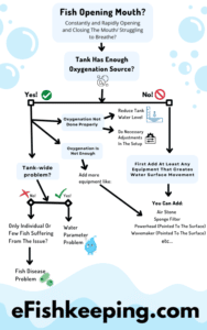 Fish Opening Mouth? (Quick Troubleshooting + Infographic!) - eFishkeeping