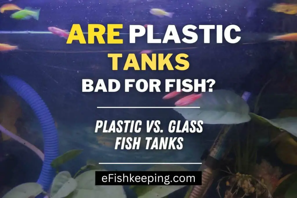 7 Reasons Why Fish Tank Cracks (+How To Fix It!) - eFishkeeping