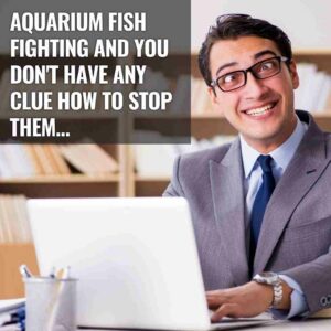 Top 11 Funny Fish And Aquarium Memes - eFishkeeping