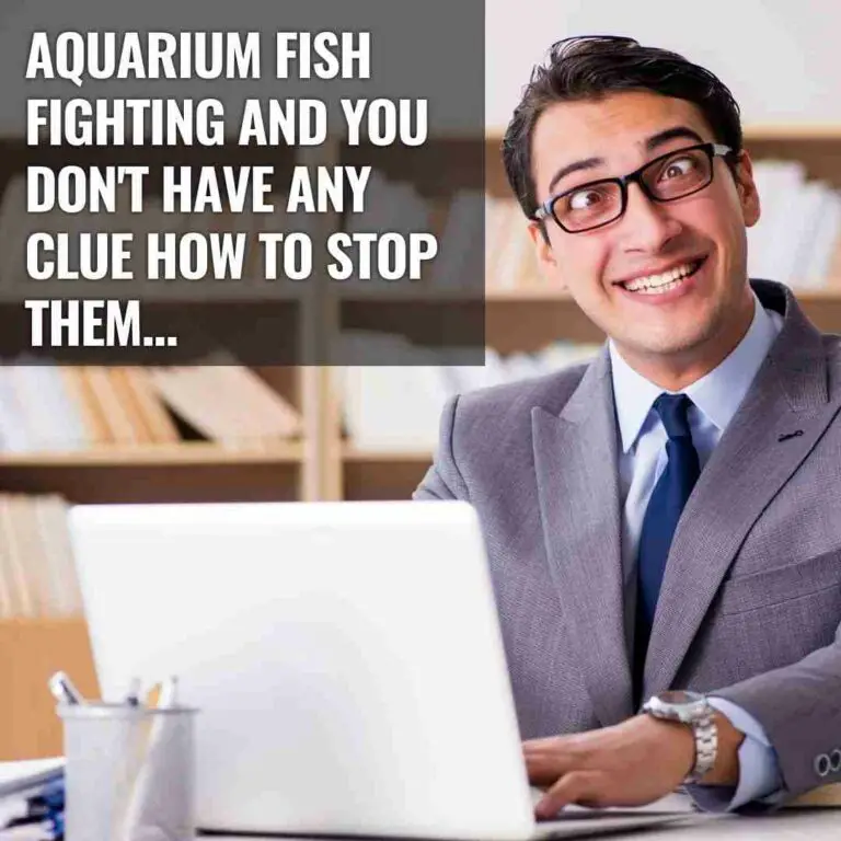 Top 11 Funny Fish And Aquarium Memes - eFishkeeping